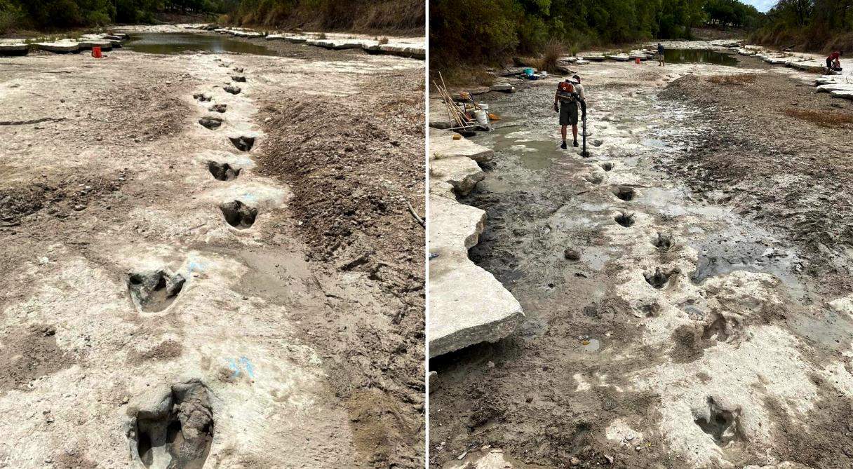Are There Fossils in Dinosaur Valley State Park?
