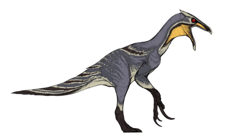 Beipiaosaurus: The Northern China Lizard