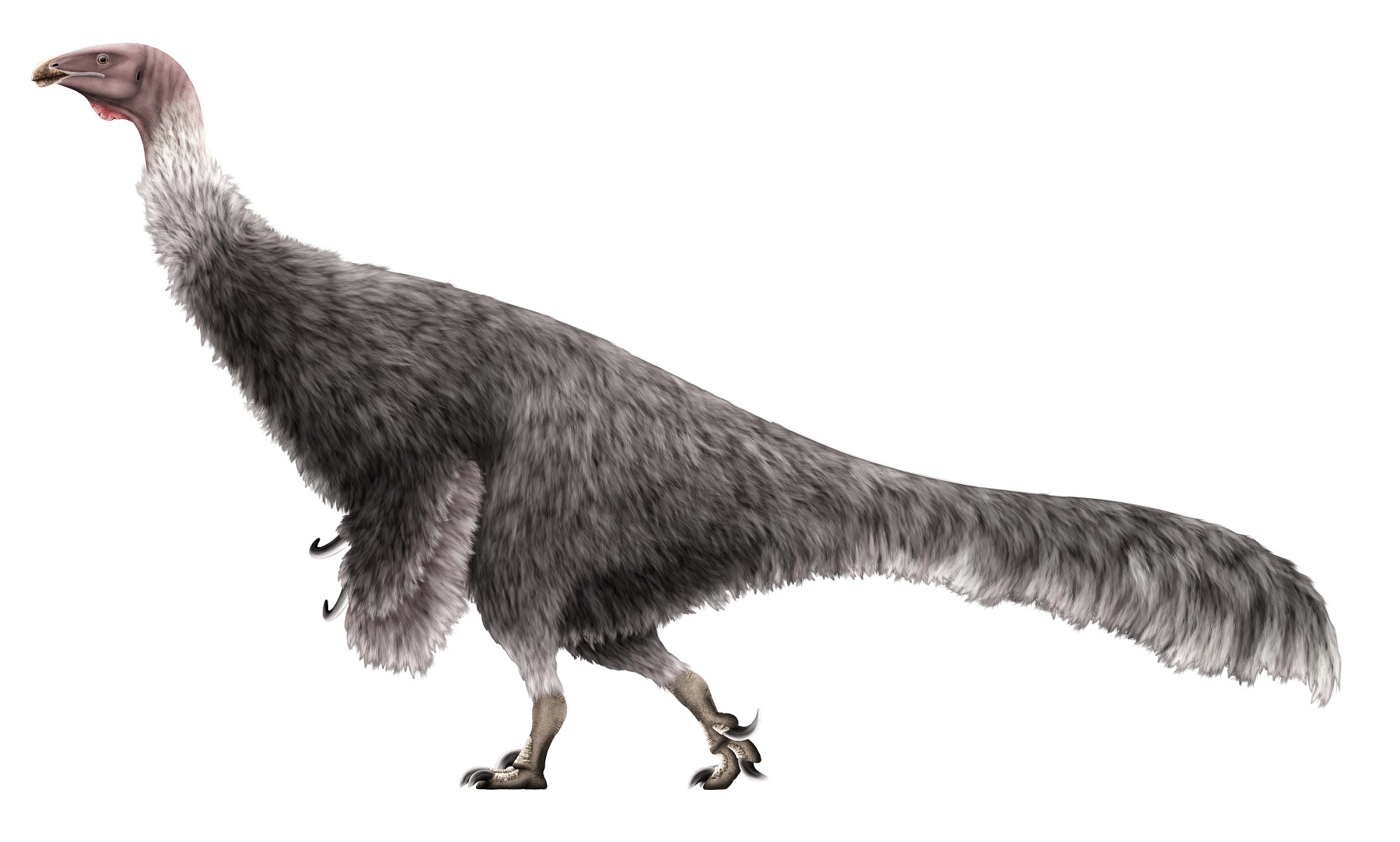 The World of Omnivorous Dinosaurs