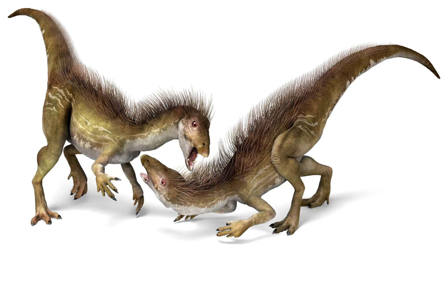 Heterodontosaurus: A Window into the Early Jurassic World
