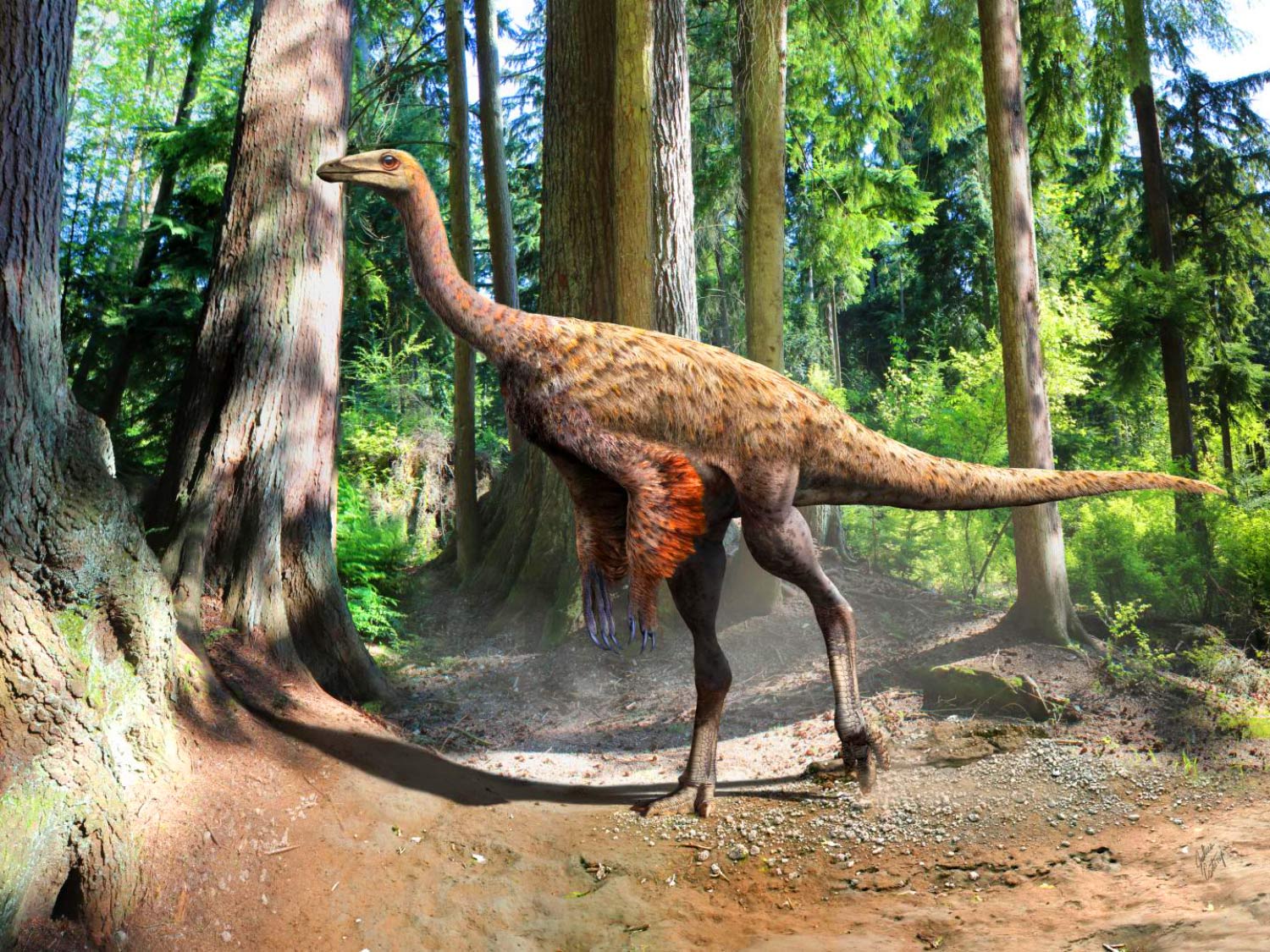 Ornithomimus Dinosaur: Exploring a Feathered Wonder