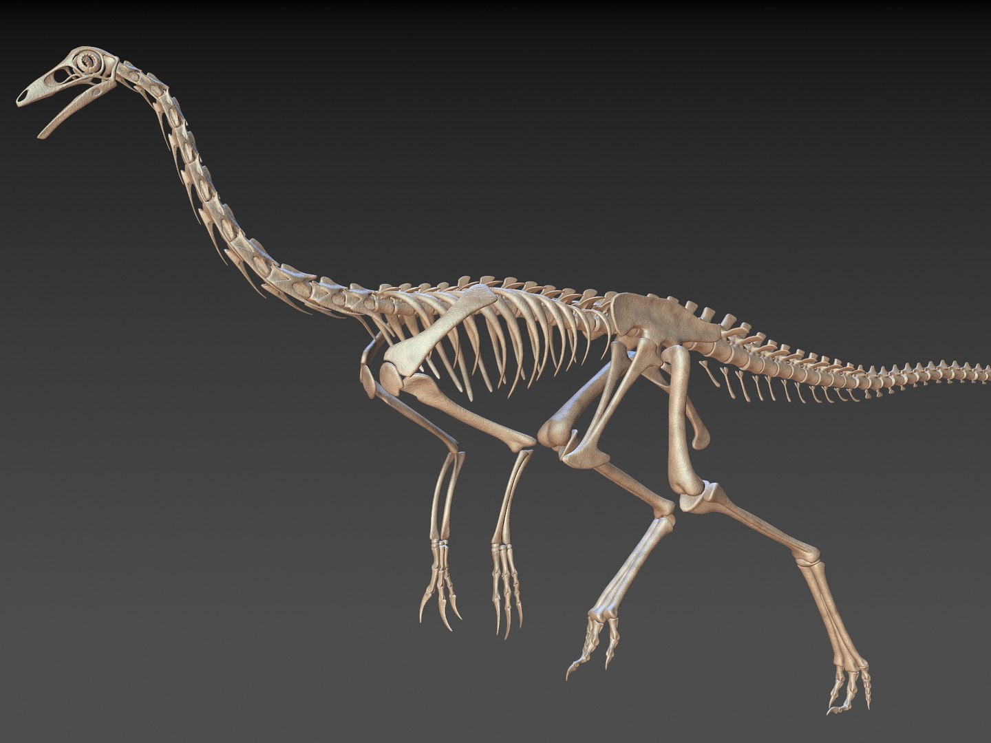 Ornithomimus Dinosaur: Exploring a Feathered Wonder