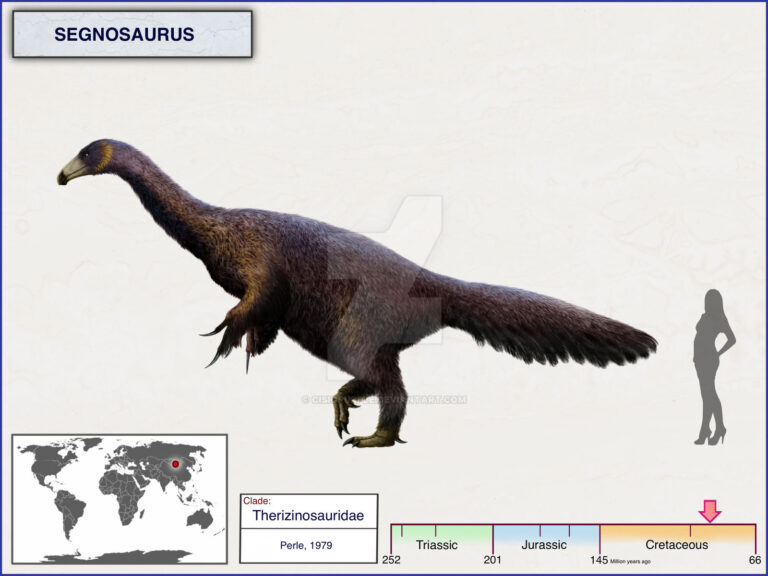 Segnosaurus: A Dinosaur of Many Tastes