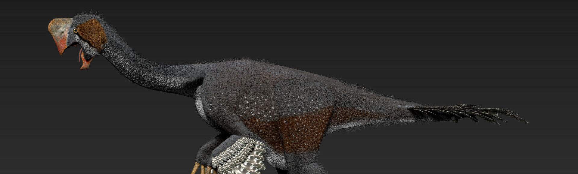 Citipati: A Bird-Like Dinosaur With a Unique Crest