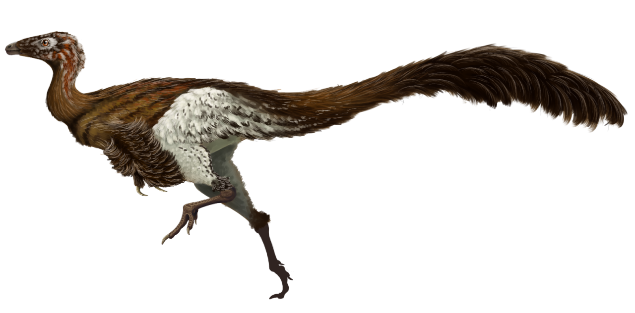 The World of Omnivorous Dinosaurs