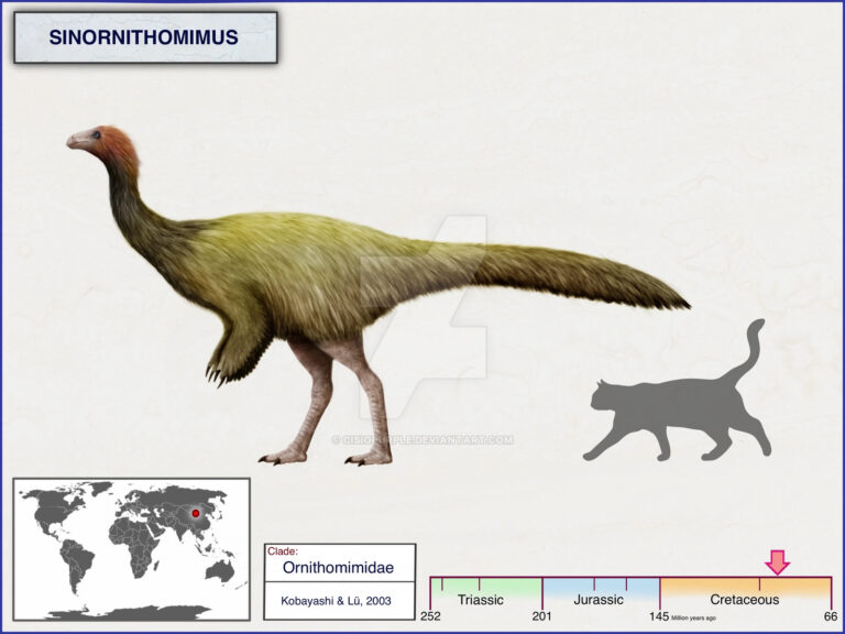 Sinornithomimus: A Missing Link in Dinosaur Evolution