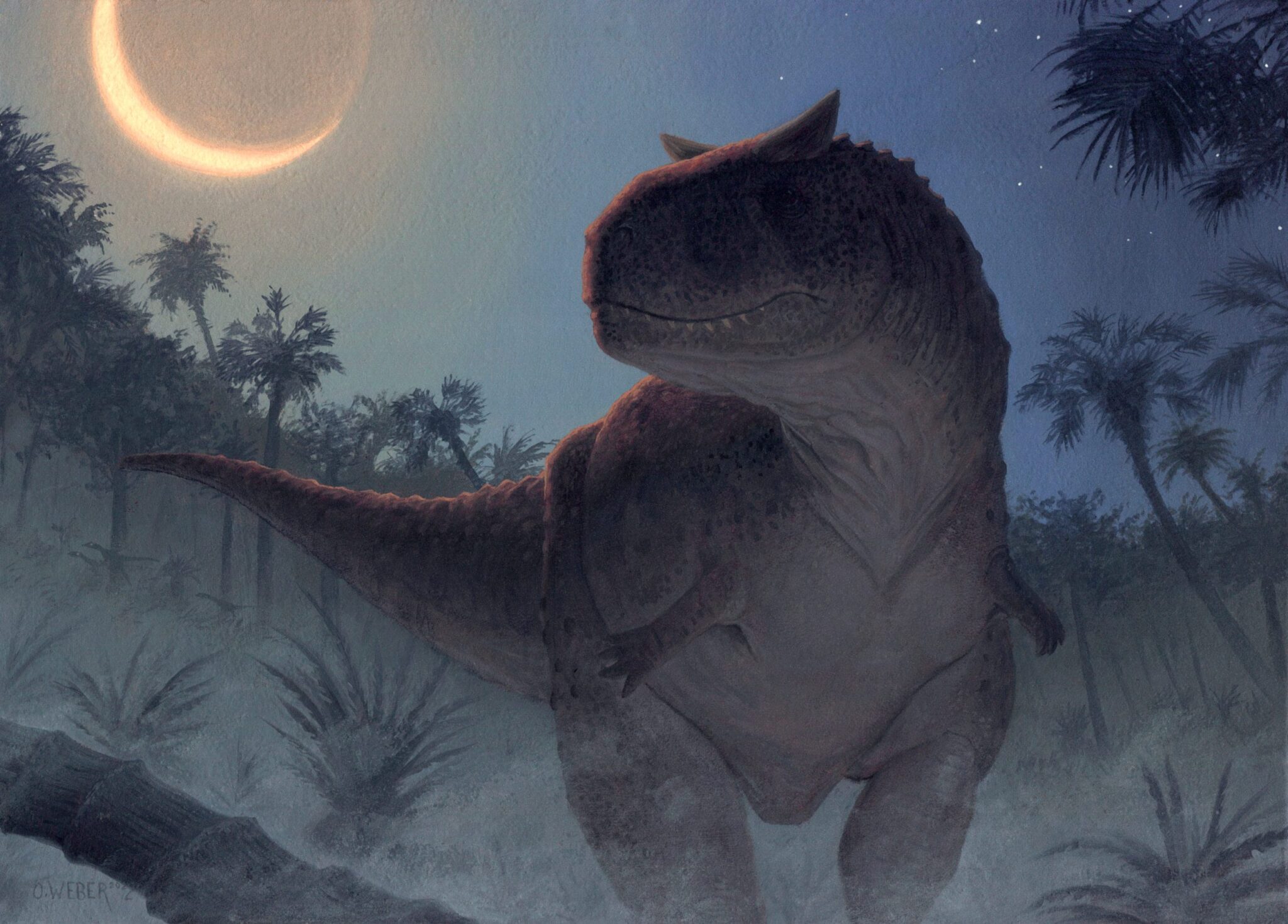 What is the Biggest Carnivorous Dinosaur?