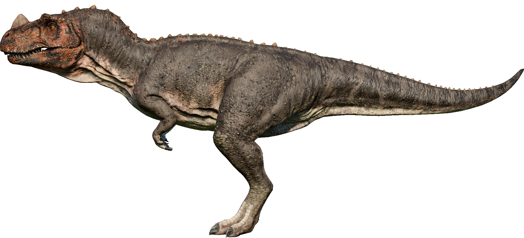 The World of Carnivorous Dinosaurs