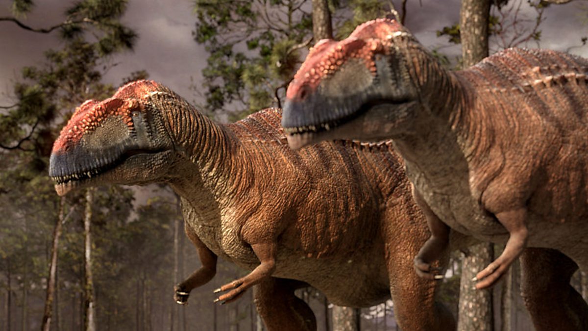What is the Biggest Carnivorous Dinosaur?