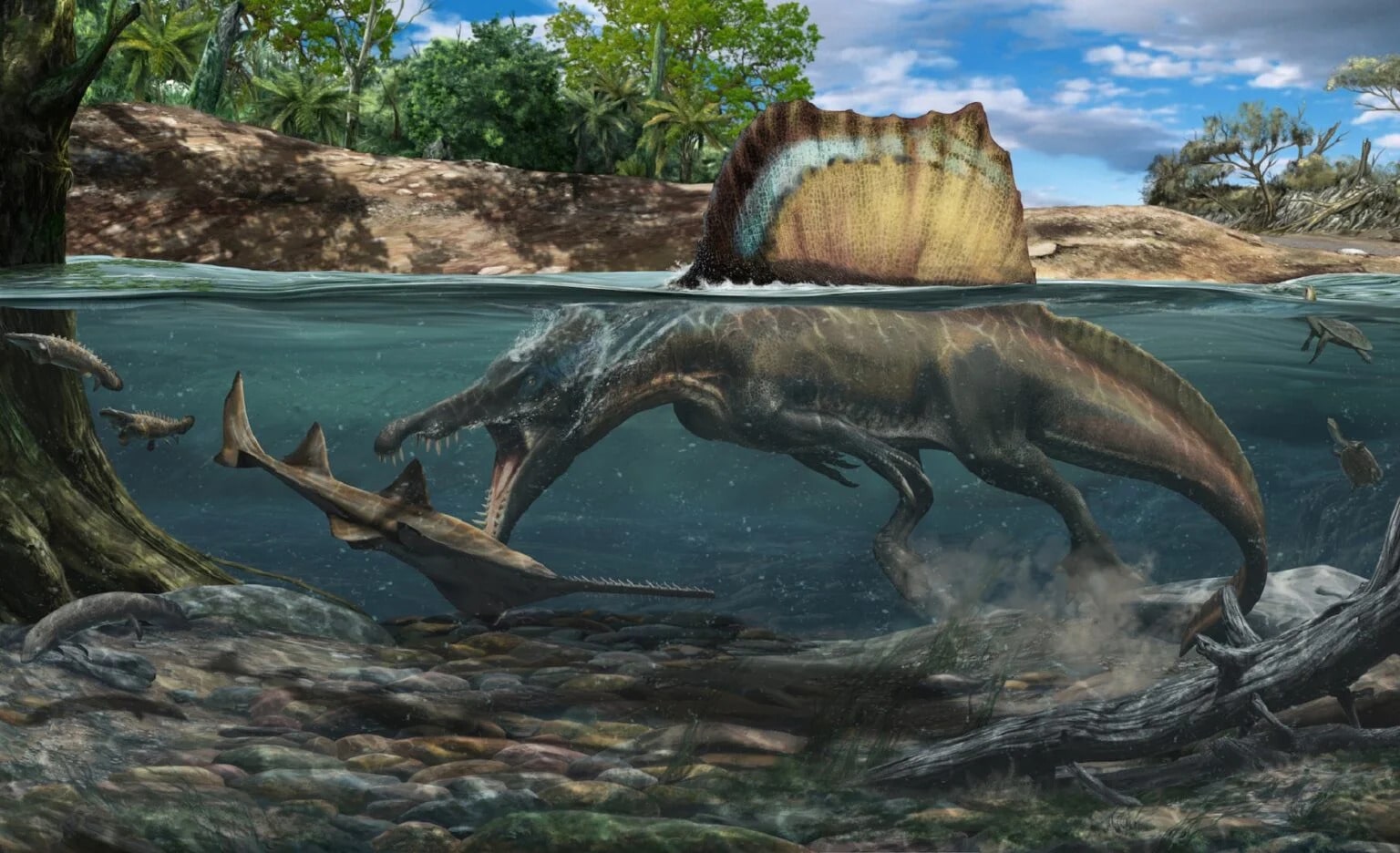 Spinosaurus: The Largest Carnivorous Dinosaur Ever Discovered