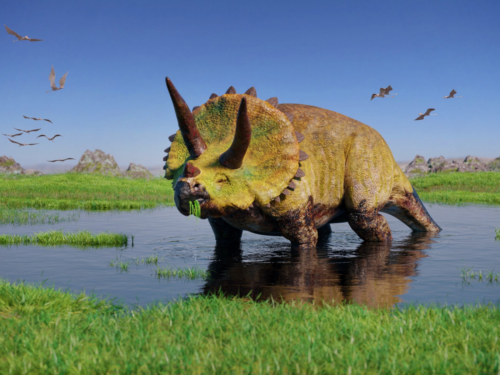 Are Triceratops Omnivores? Exploring Their Dietary Habits
