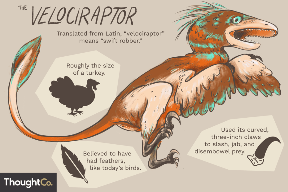 Velociraptor: A Hunter's Anatomy and Behavior